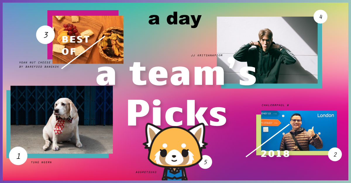 best of a day online : a team’s Picks