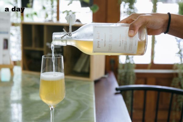 Pure Luck ชาหมักออร์แกนิกที่อยากเติมพลังให้ลำไส้ 'สมองที่สอง' ในร่างกาย ...