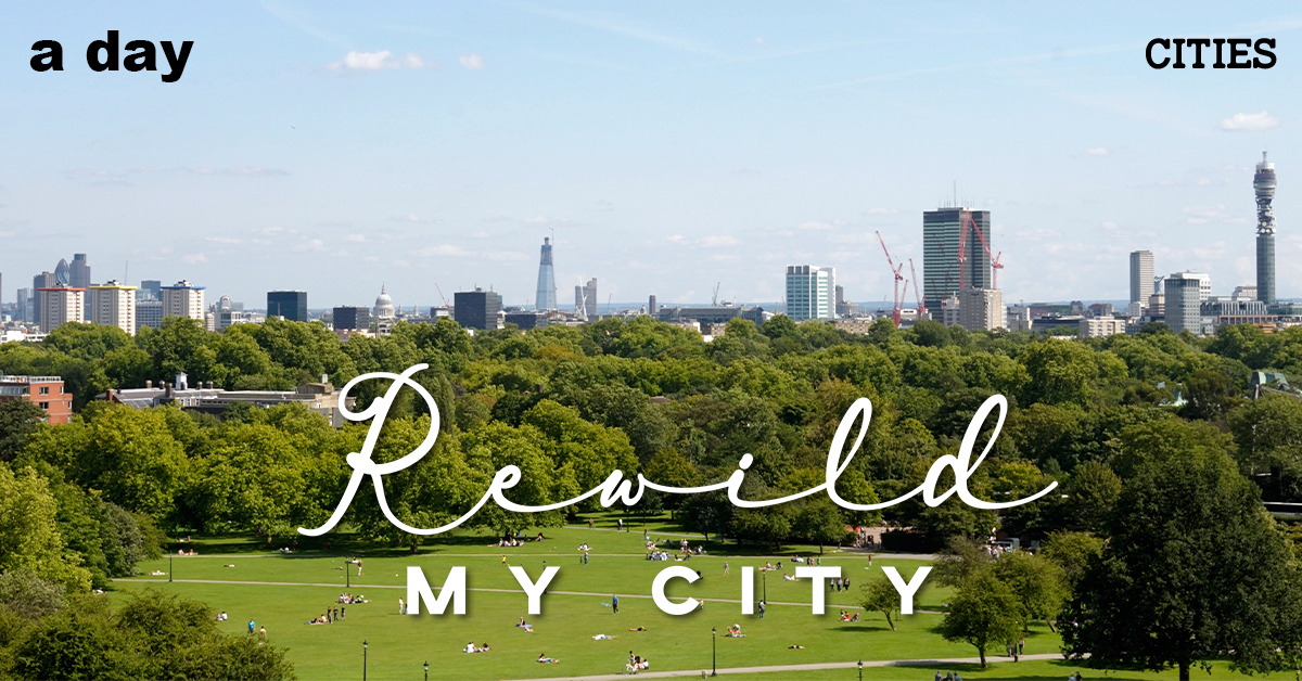 Rewild My City: เมื่อเทรนด์ปี 2020 ไม่ใช่การแยก ‘ป่า’ ออกจาก ‘เมือง ...