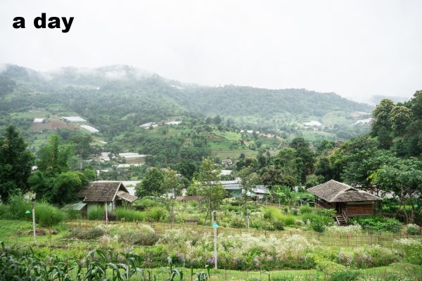 Mori Natural Farm บ้านเล็กในป่าใหญ่สไตล์ญี่ปุ่นที่สร้างจากไม้ล้านนาแต๊ๆ ...