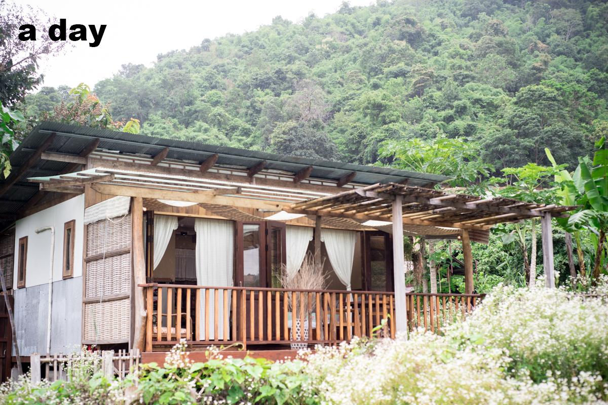Mori Natural Farm บ้านเล็กในป่าใหญ่สไตล์ญี่ปุ่นที่สร้างจากไม้ล้านนาแต๊ๆ ...