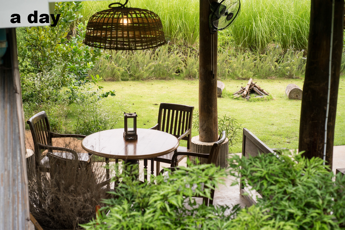 Mori Natural Farm บ้านเล็กในป่าใหญ่สไตล์ญี่ปุ่นที่สร้างจากไม้ล้านนาแต๊ๆ ...