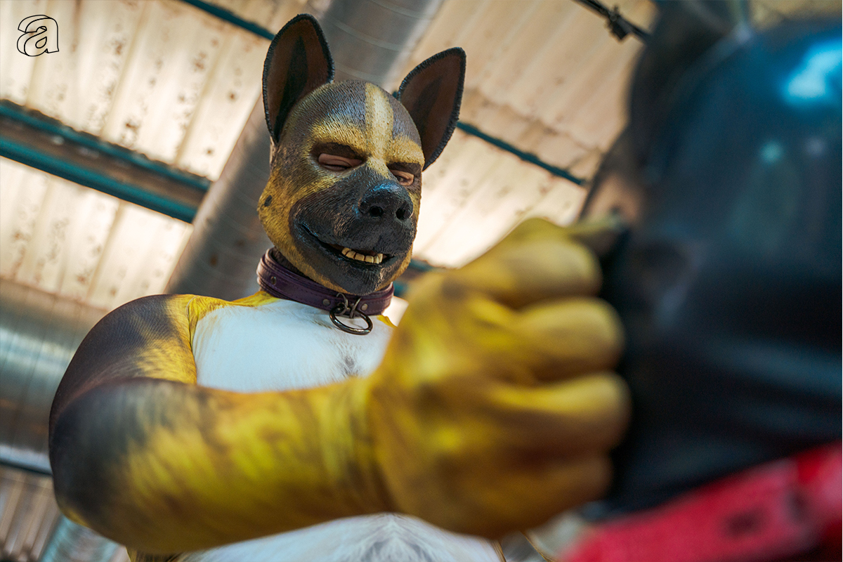 Puppy Play รสนิยมเฉพาะทางของผู้หลงใหลการสวมบทหมา