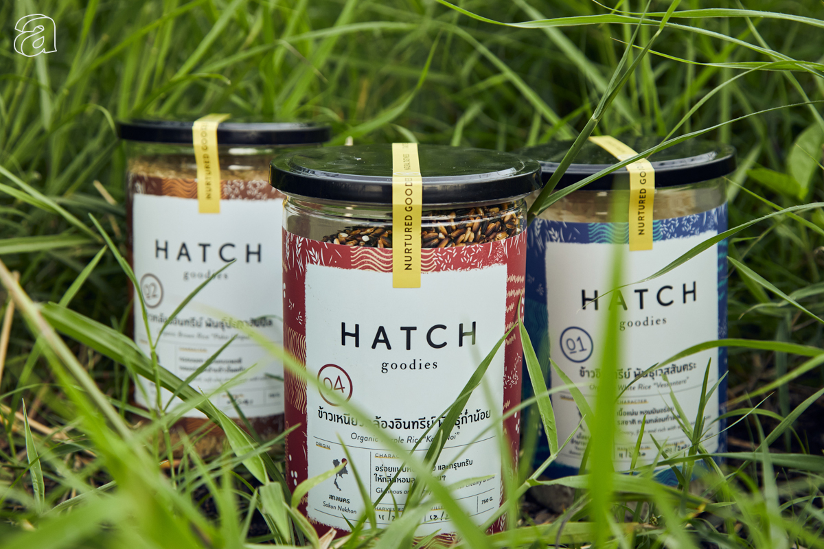 HATCH goodies แบรนด์ข้าวท้องถิ่นที่อยากรักษาภูมิปัญญาข้าวร้อยปีด้วยวิถีออร์แกนิกยั่งยืน » a day ...