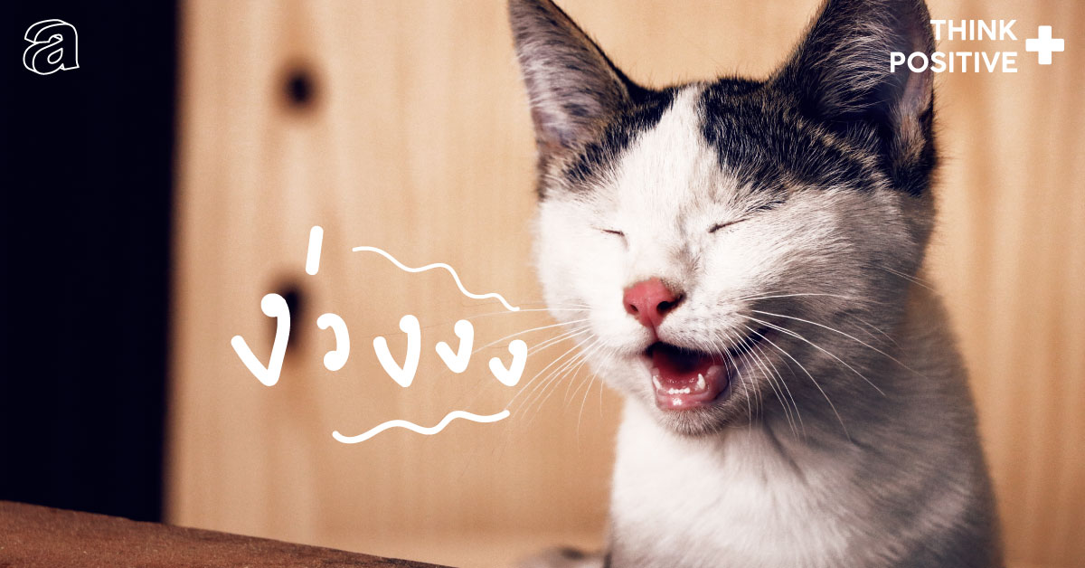 MeowTalk แอพพลิเคชั่นแปลภาษาแมวที่จะทำให้มนุษย์กับเจ้าเหมียวเข้าใจกัน ...