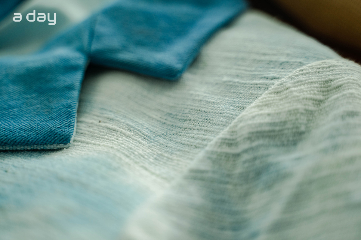 Napier Fiber Textile เสื้อผ้าทำจากกอหญ้า พัฒนาจากเส้นใยที่ยังไม่เคยมี ...