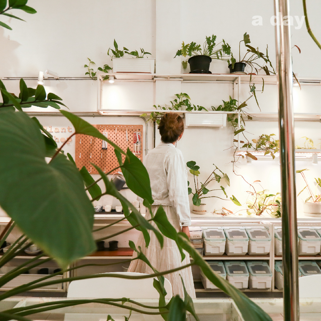 Plant Workshop Cafe โรงปฏิบัติการสวนในตึกเพื่อคนเมืองที่รักการอยู่ร่วมกับสีเขียว