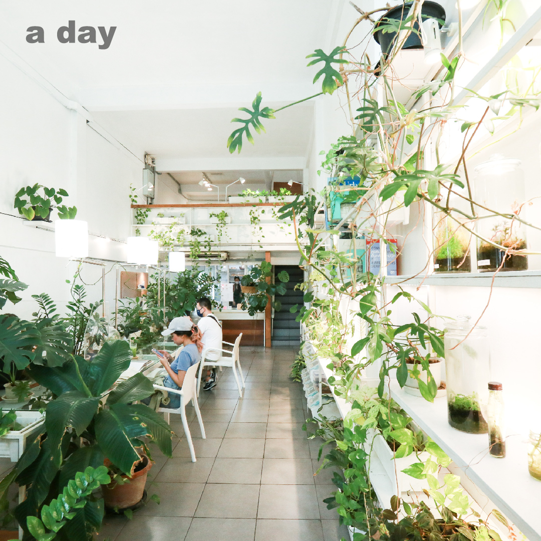 Plant Workshop Cafe โรงปฏิบัติการสวนในตึกเพื่อคนเมืองที่รักการอยู่ร่วมกับสีเขียว