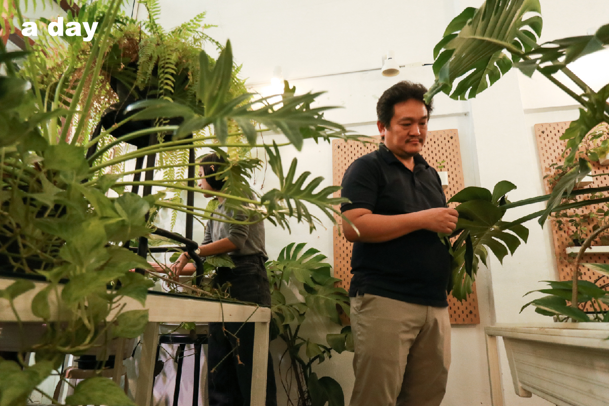 Plant Workshop Cafe โรงปฏิบัติการสวนในตึกเพื่อคนเมืองที่รักการอยู่ร่วมกับสีเขียว