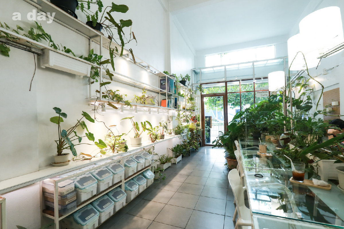 Plant Workshop Cafe โรงปฏิบัติการสวนในตึกเพื่อคนเมืองที่รักการอยู่ร่วมกับสีเขียว